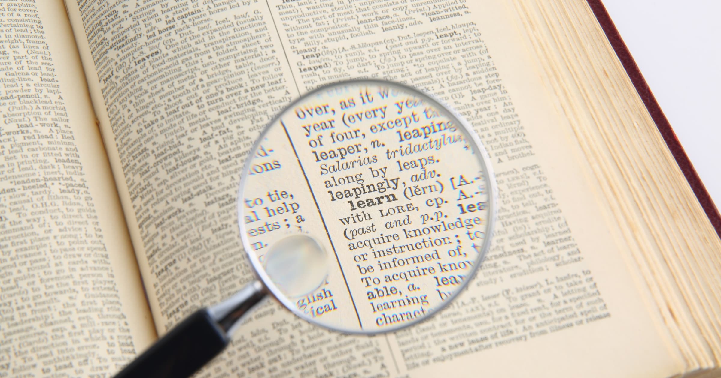 What Is the Purpose of Policies in the Workplace? — GAN Integrity blog